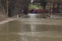 River Trent Gallery – Collingham AA