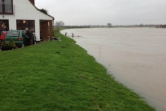 River Trent Gallery – Collingham AA