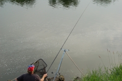 River Trent Match Fishing – Collingham AA