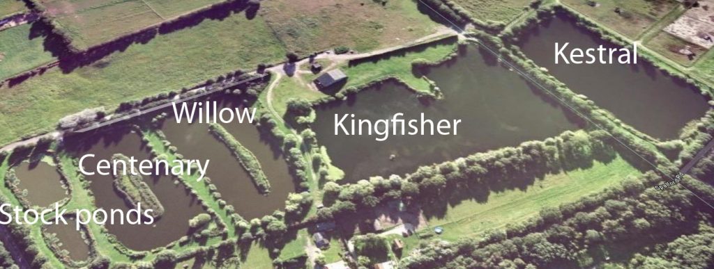 Collingham AA – Est 1900